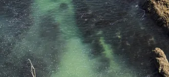 Council's Carbon Footprint - Toitū Certification | Whakatāne District ...